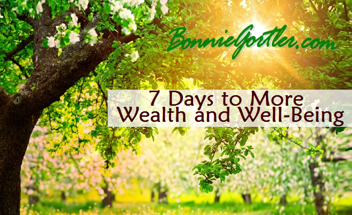 7 Days to More Wealth and Well-Being